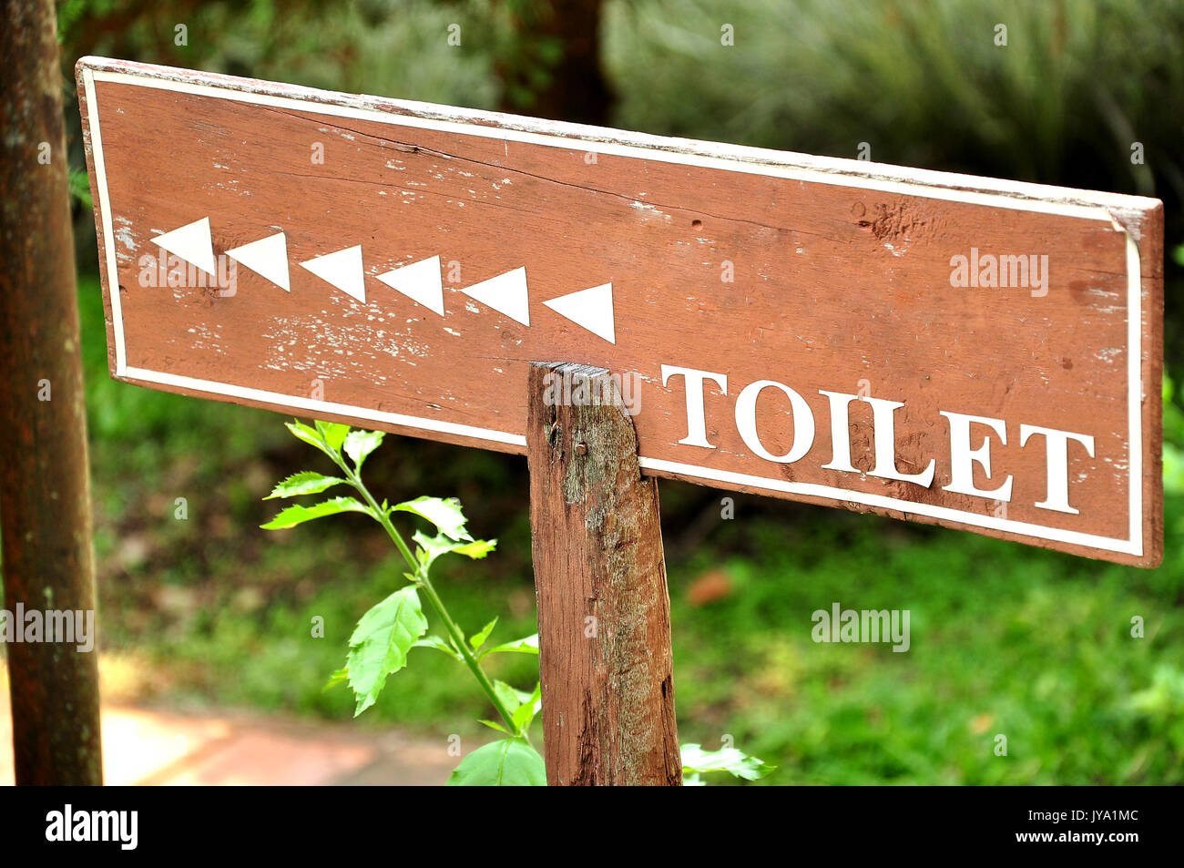 A toilet is a sanitation fixture used primarily for the disposal of ...