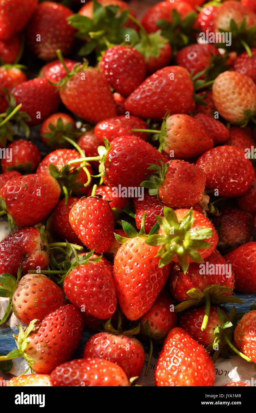 First fruit of france hi-res stock photography and images - Alamy