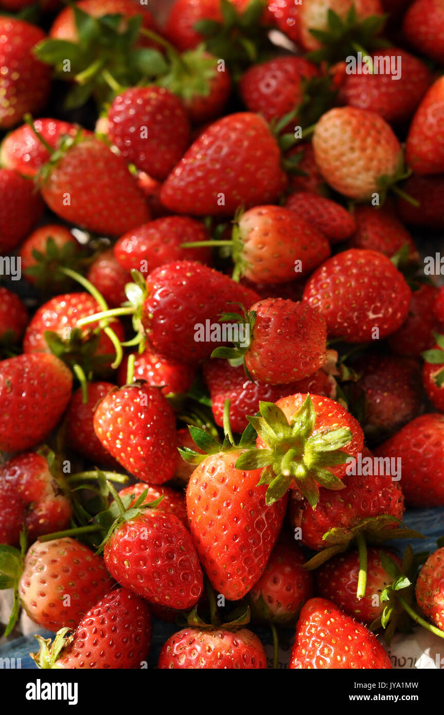 The first garden strawberry was grown in France during the late 18th ...