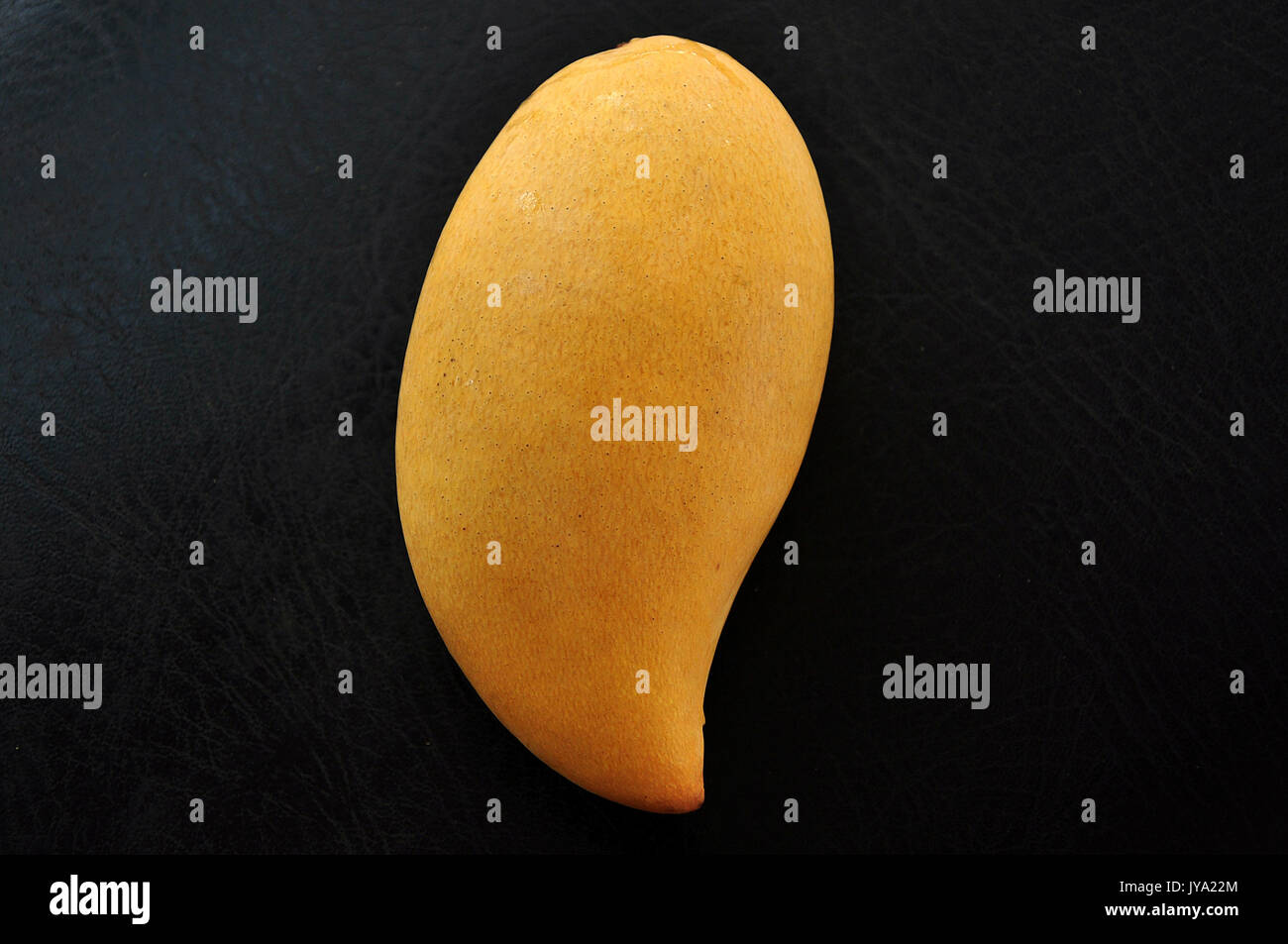 Mangoes have been cultivated in South Asia for thousands of years Stock ...