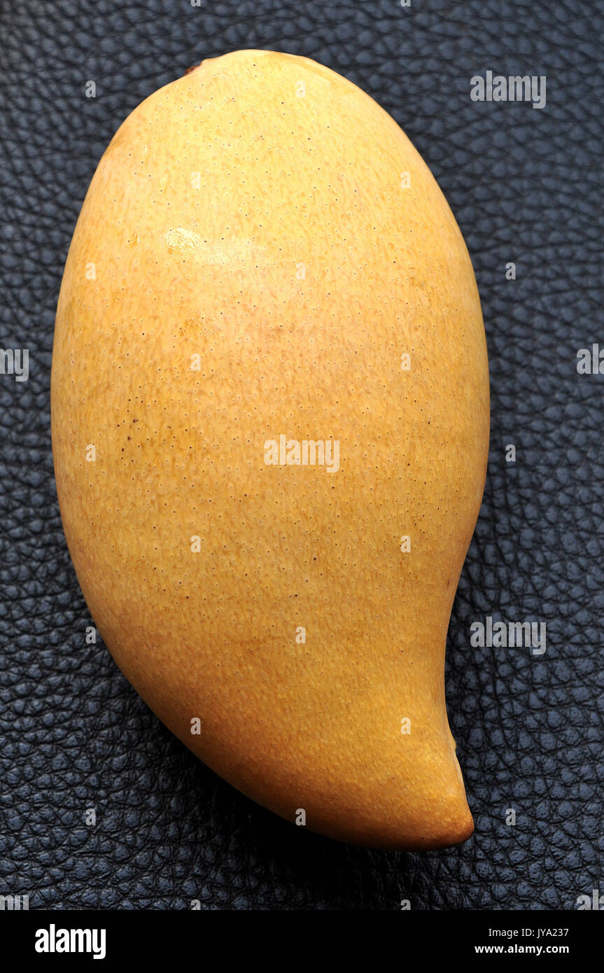 Mangoes have been cultivated in South Asia for thousands of years Stock ...