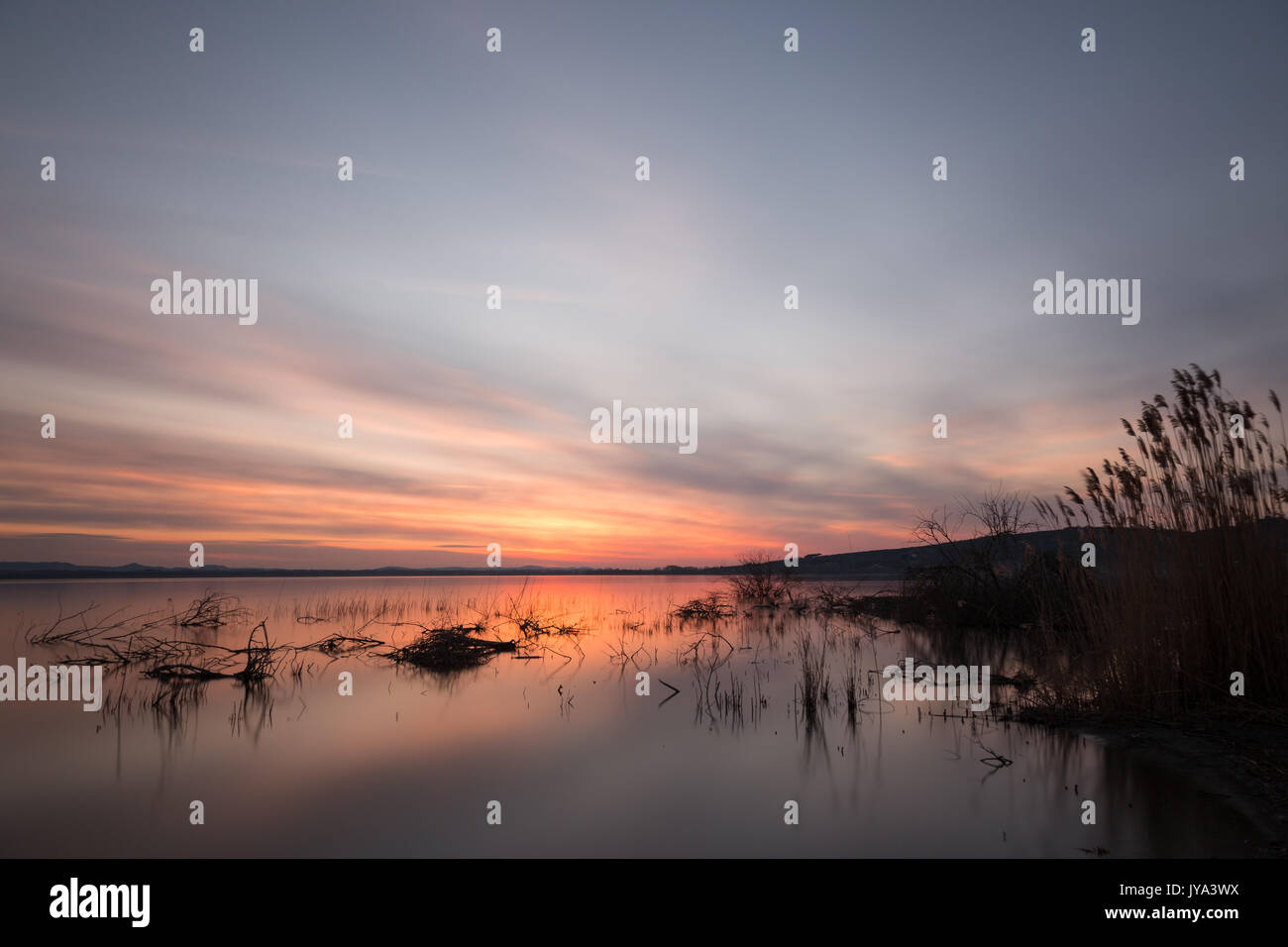 Lake at sunset, with trees and branches coming out of water, and a ...
