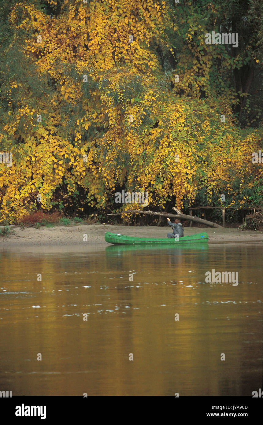 the Drava River Stock Photo - Alamy