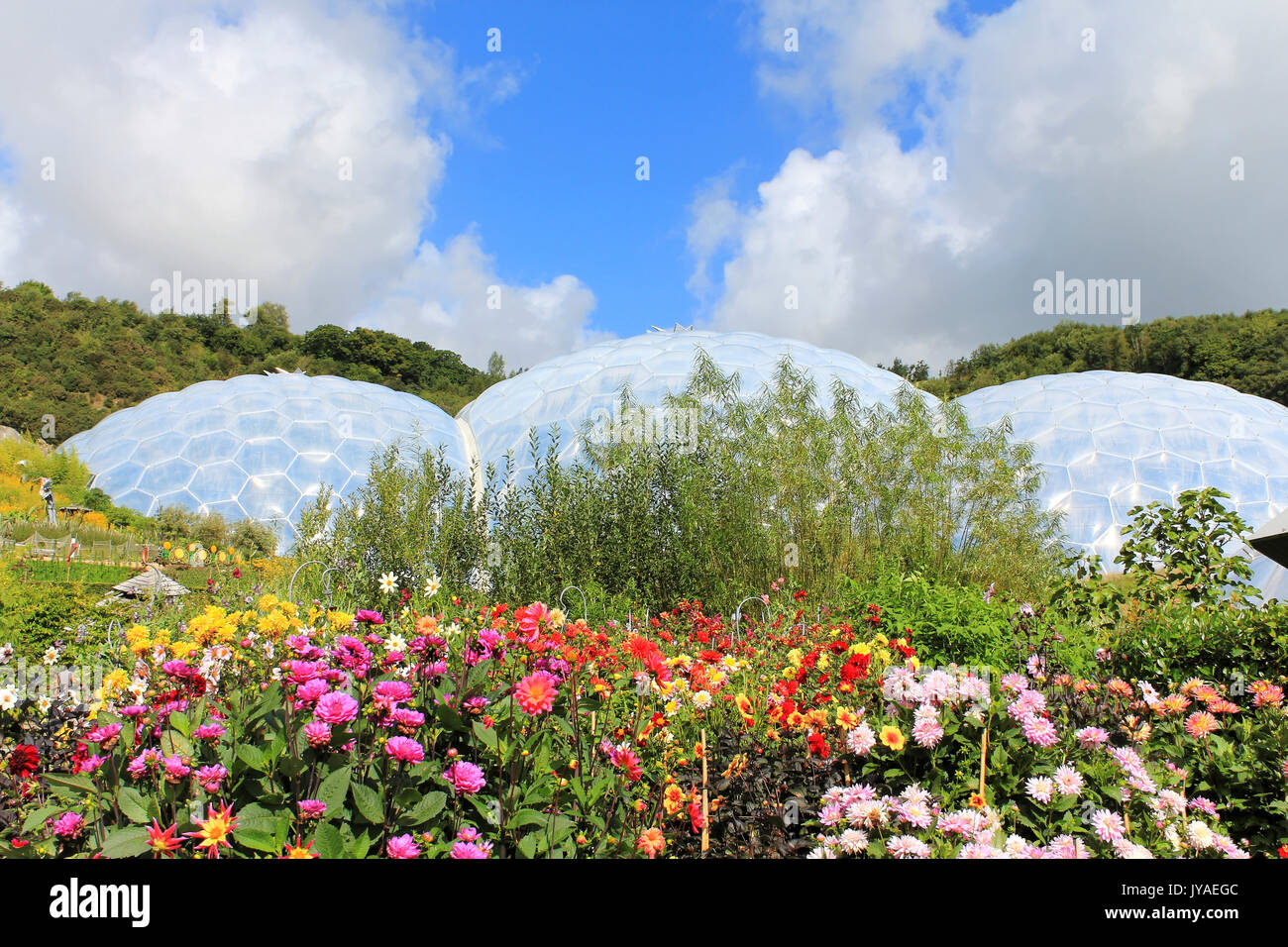 Eden Project, Cornwall, England – August 24, 2010: The world's largest ...