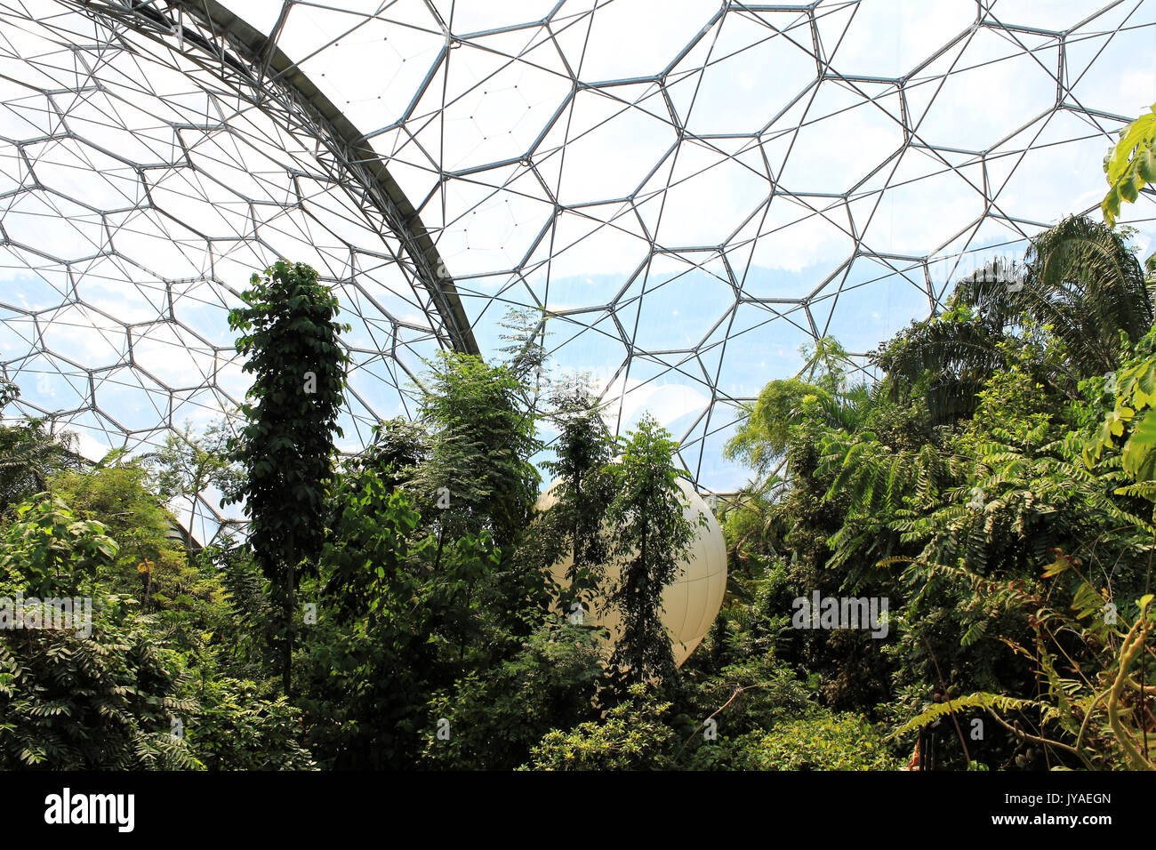 Eden Project, Cornwall, England – August 24, 2010: The world's largest ...