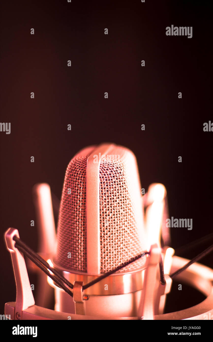 Studio vocal large diaphragm condenser voiceover recording microphone ...