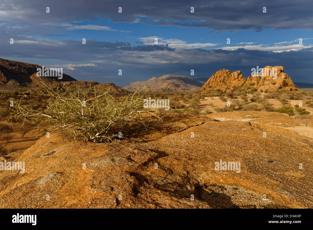 Farm Omandumba (guest farm): Scene in the Erongo Mountains, granite ...