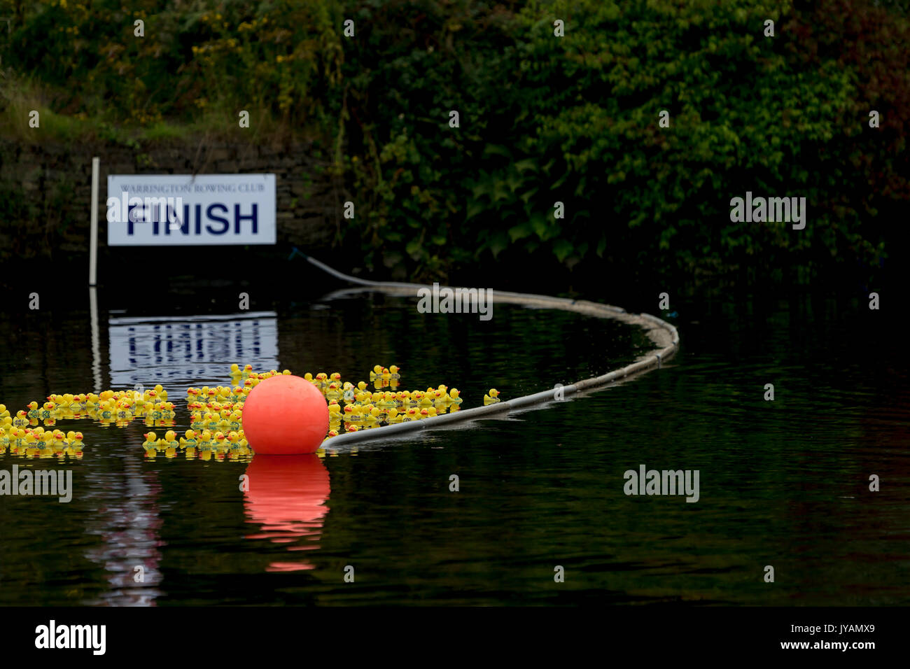 The first of 1000 yellow plastic ducks reach the finish line at the ...