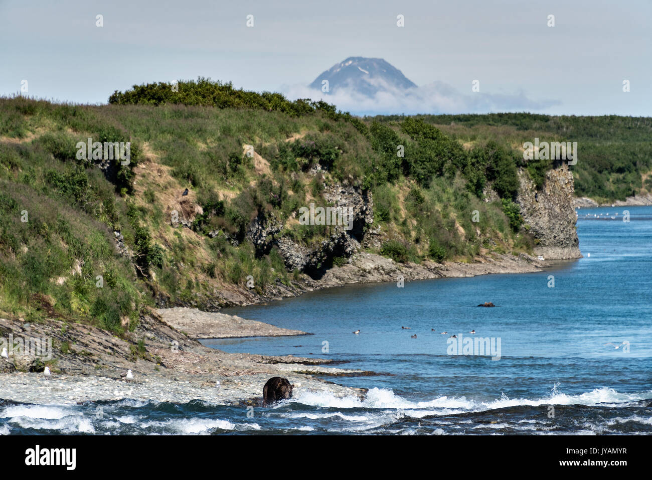 Mcneil river hi-res stock photography and images - Alamy