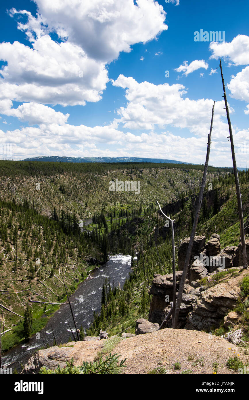 Yellowstone Park River view Stock Photo - Alamy