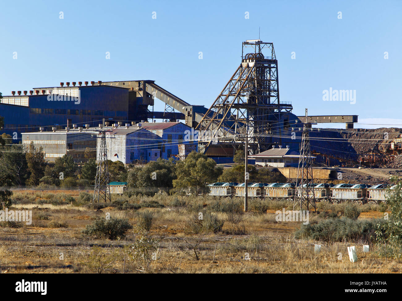 Plants broken hill new south wales australia australian outback ...