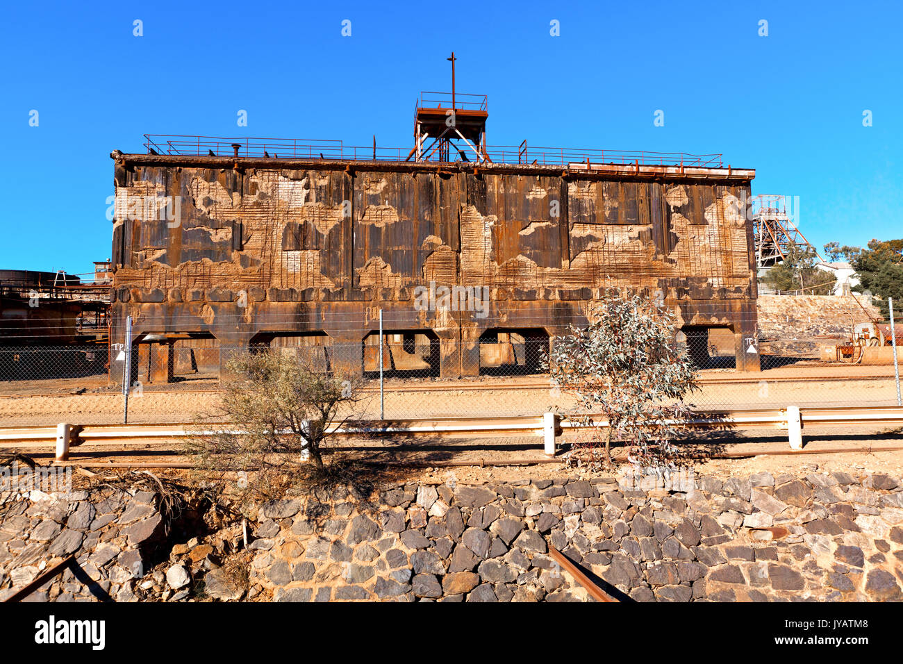 Plants broken hill new south wales australia australian outback ...