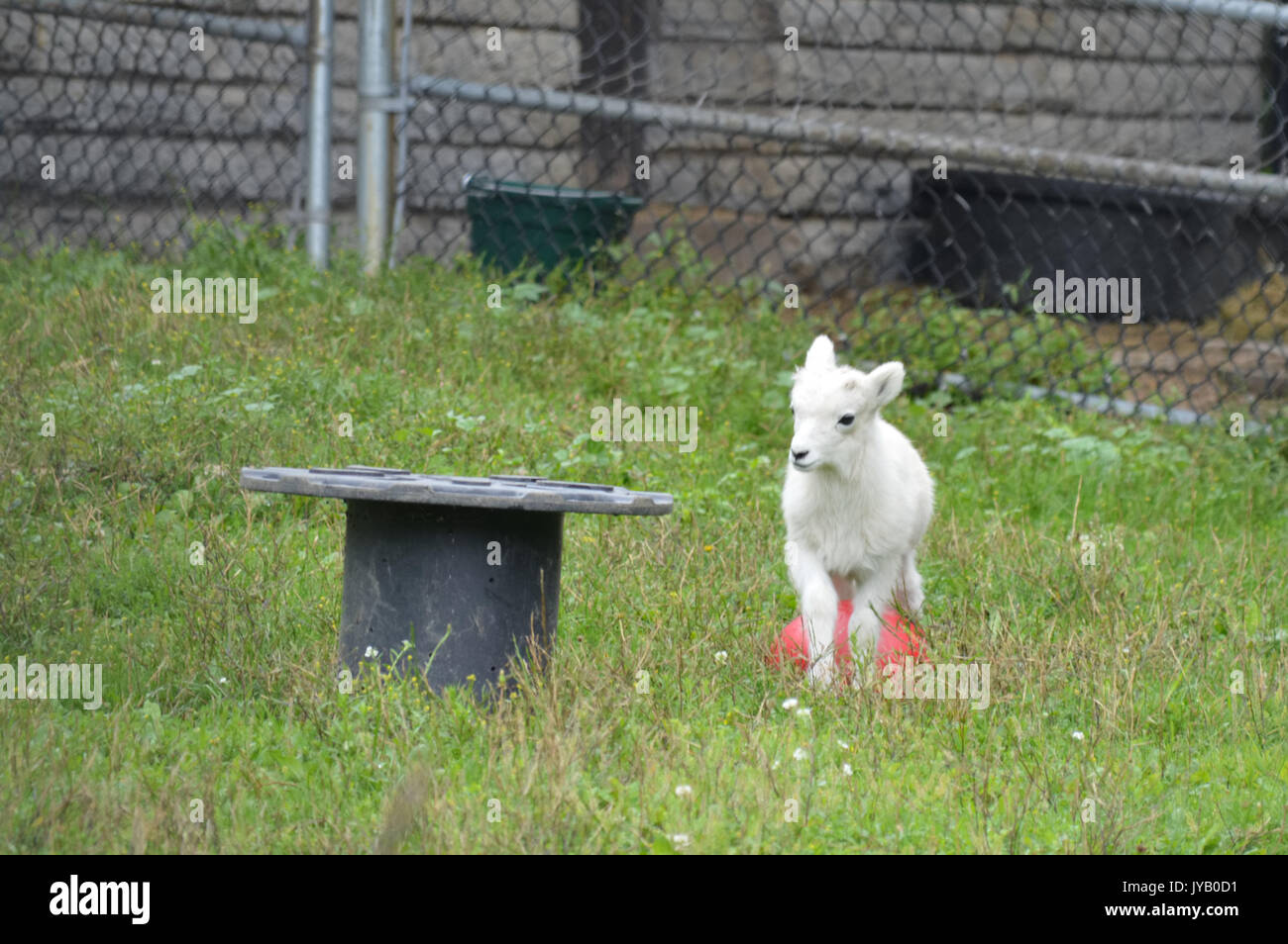 Adorable baby curious face hi-res stock photography and images - Alamy