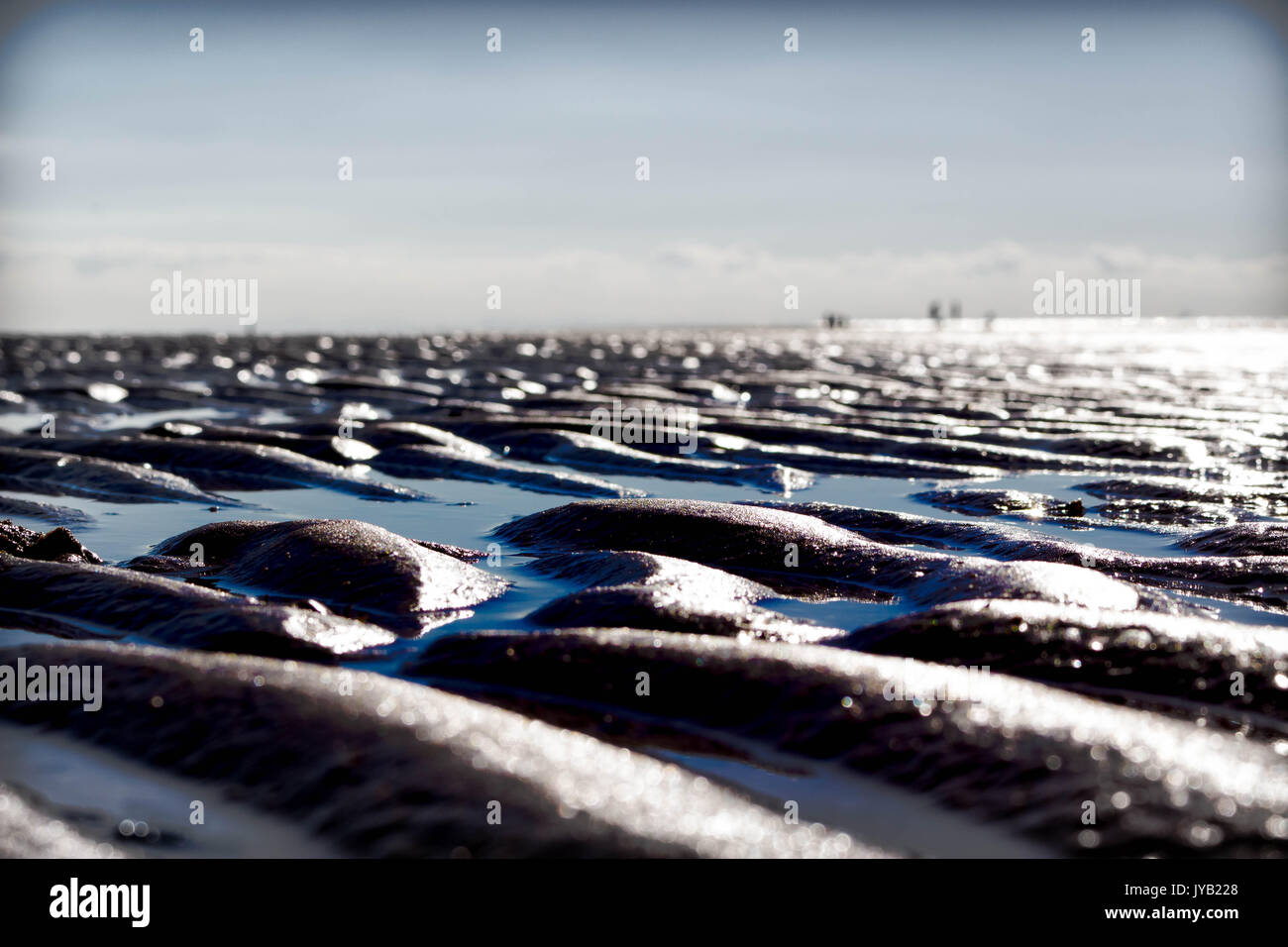 Sand Wave Puddles in the sand 2 Stock Photo - Alamy