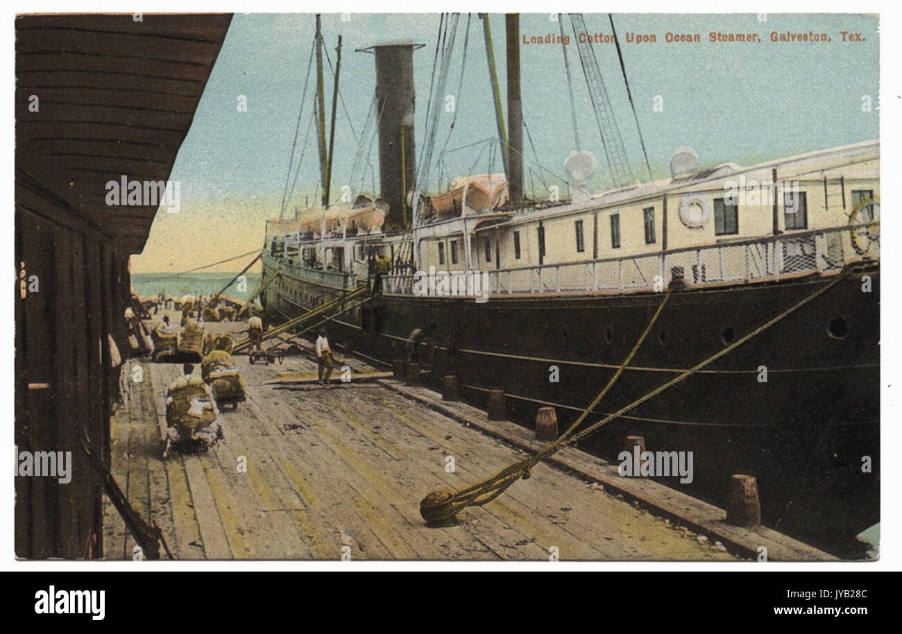 Loading Cotton Upon Ocean Steamer, Galveston, Tex Stock Photo - Alamy