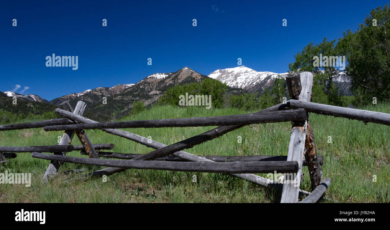 Snow covered tree with wooden fence hi-res stock photography and images ...