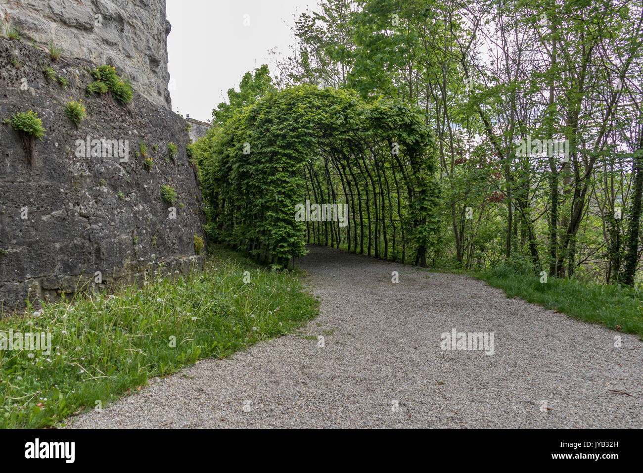 Trellis arches hi-res stock photography and images - Alamy