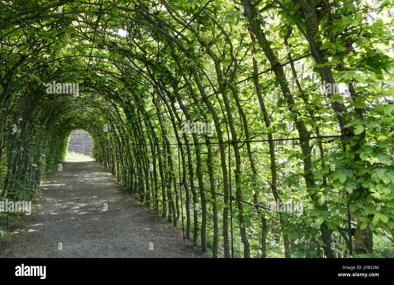 Trellis Arches Stock Photos & Trellis Arches Stock Images - Alamy
