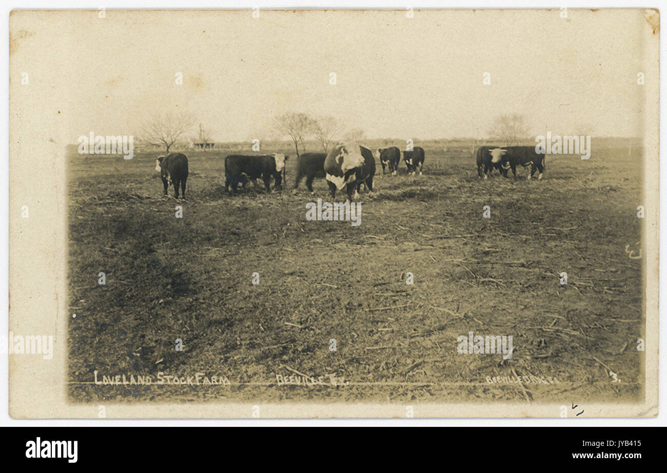 Antique stock hi-res stock photography and images - Alamy