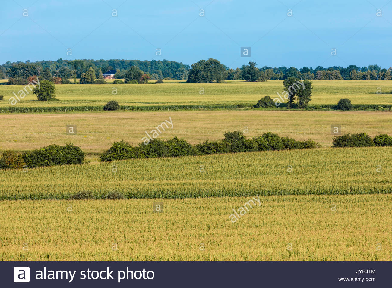 Ontario Canada Landscape House Rural High Resolution Stock Photography ...