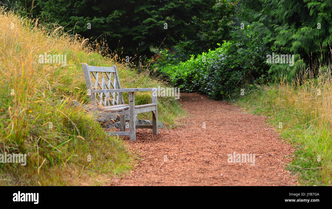 Forest path with wooden bench hi-res stock photography and images - Alamy