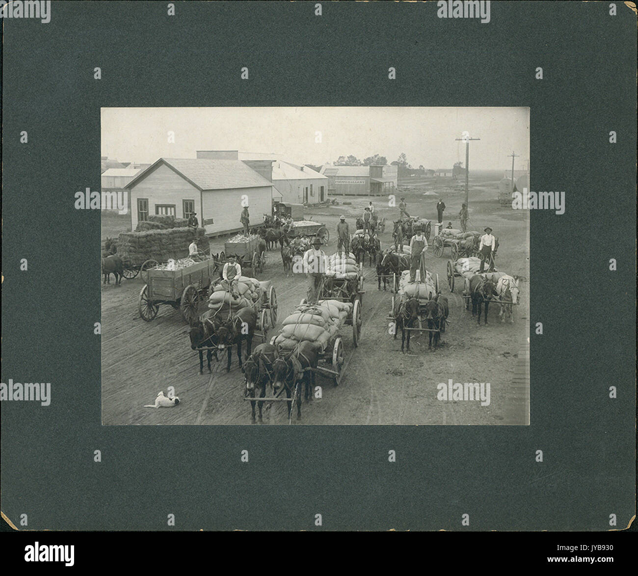Men on wagons bringing crops to market with photo gallery in background ...