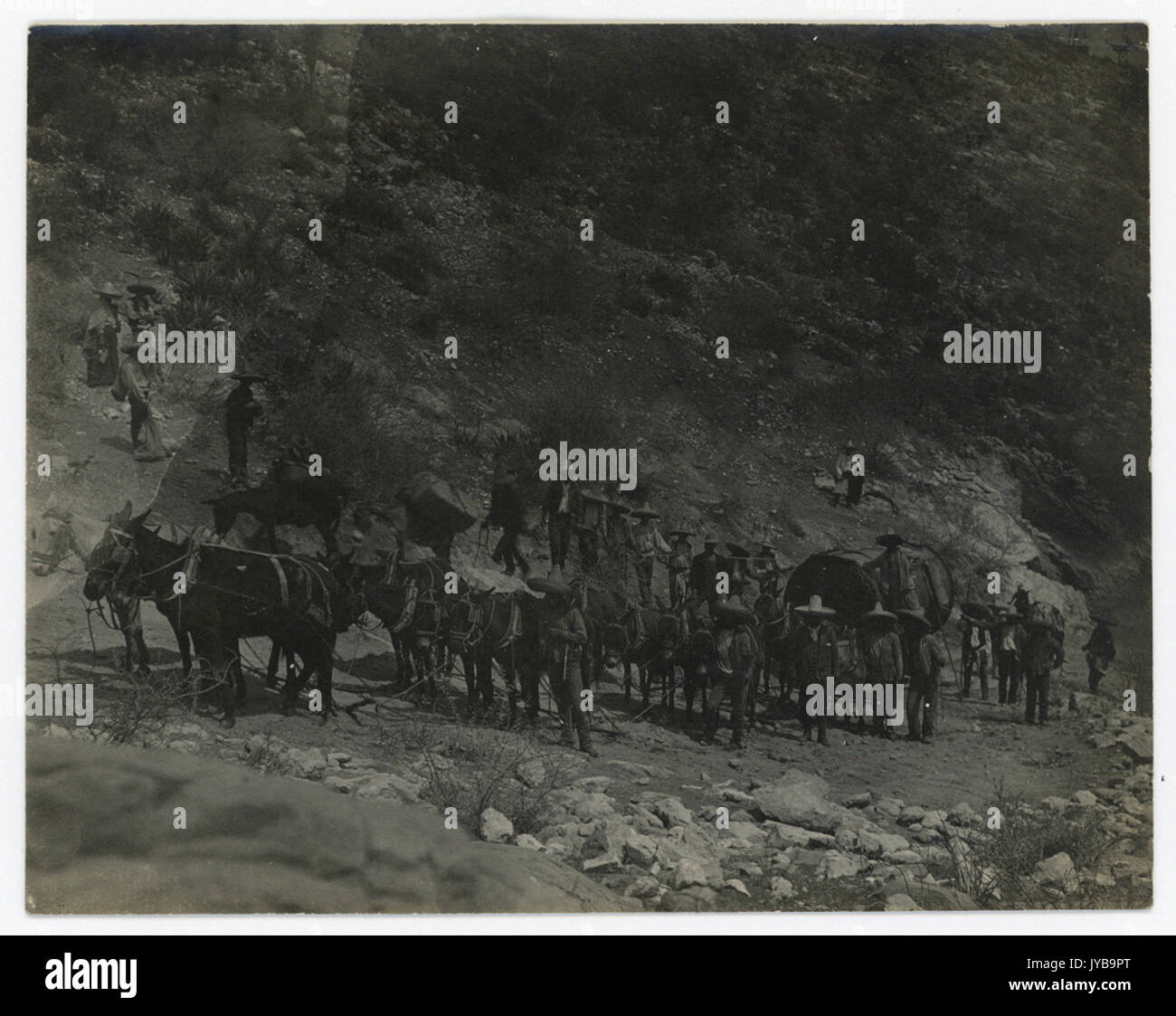 Mule teams hi-res stock photography and images - Alamy