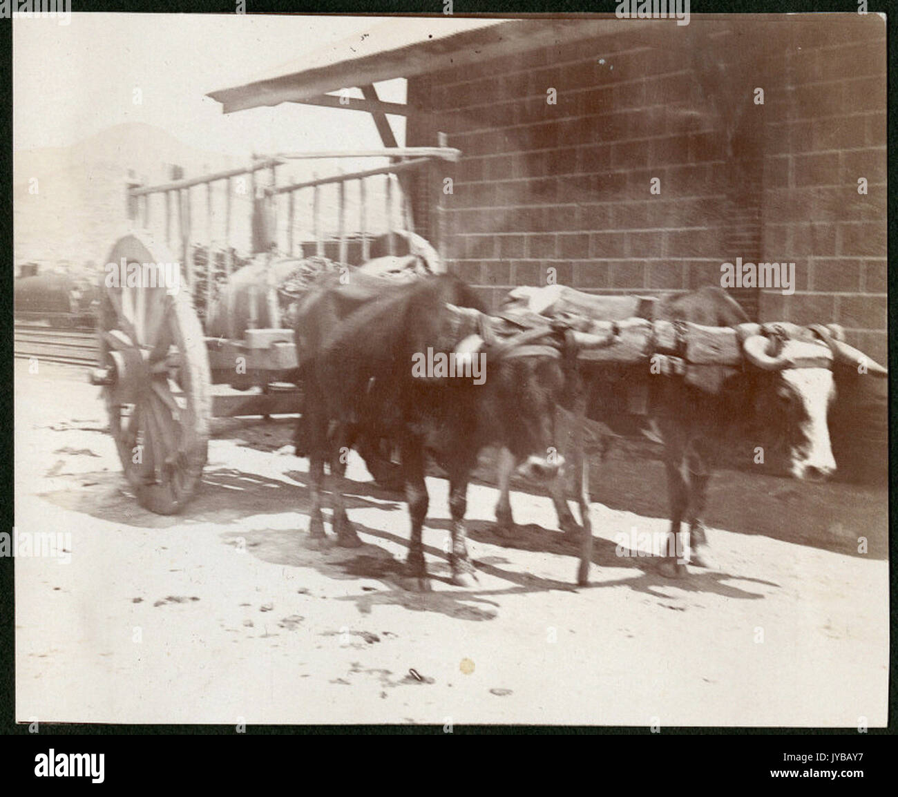 Mexican ox cart Stock Photo - Alamy