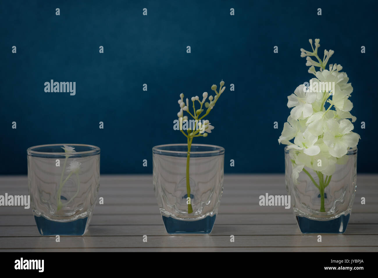 Still life with flower in the glass vase on rustic blue background ...