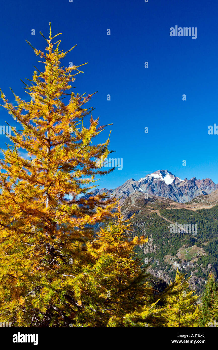 A look on Valmalenco and the pyramid of Mount Disgrazia in autumn ...