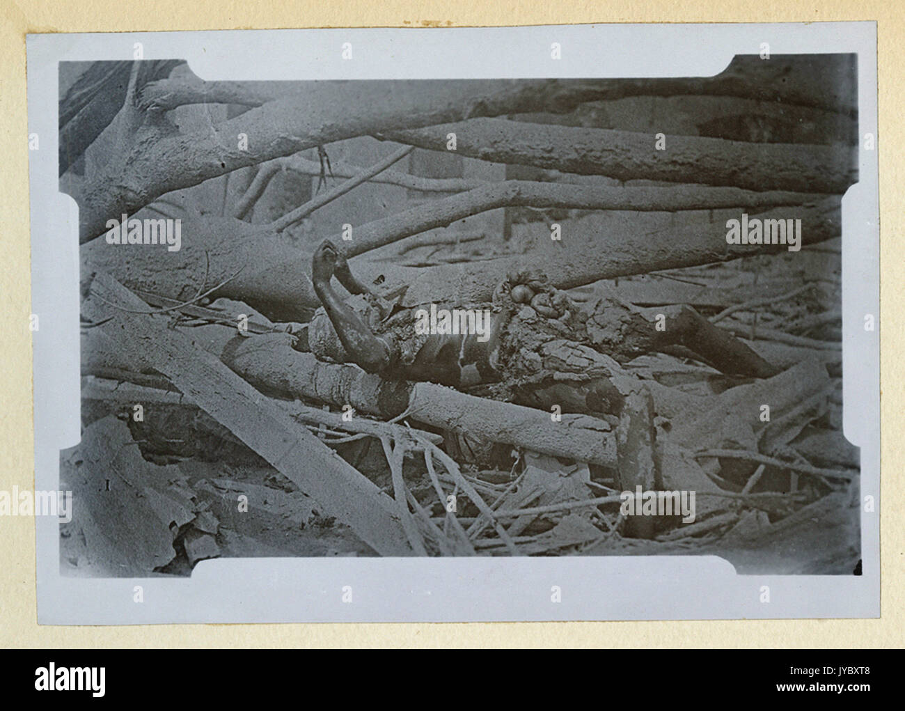 Mt. Pelee Body, result of eruption of Mt. Pelee on Martinique Stock ...