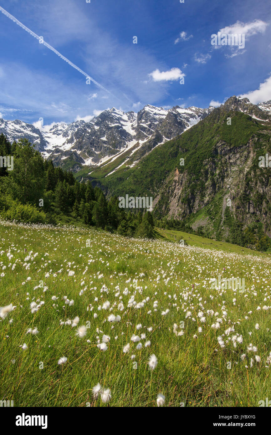 Arigna valley hi-res stock photography and images - Alamy