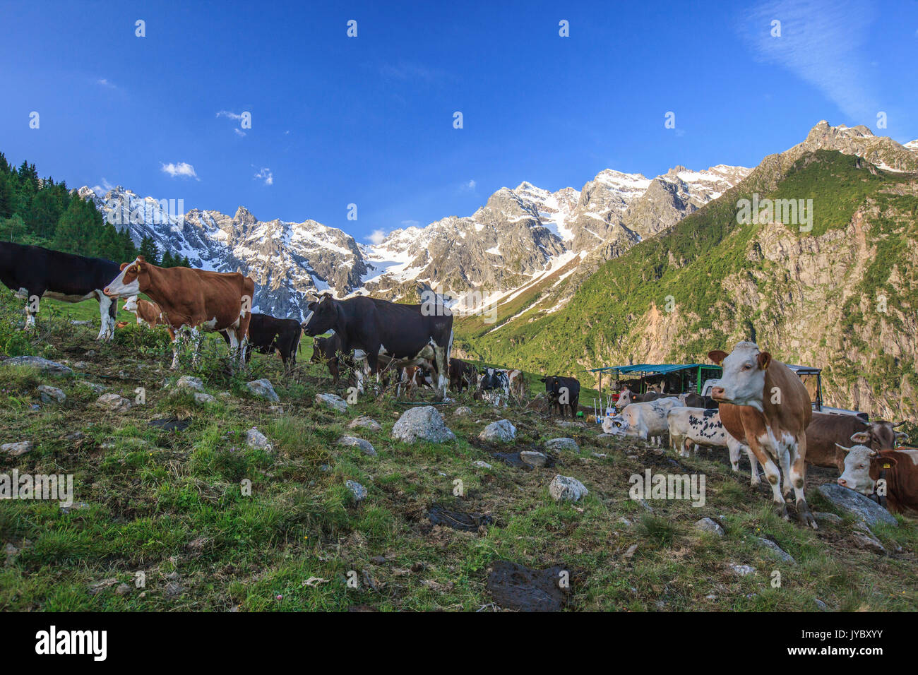 Val arigna hi-res stock photography and images - Alamy