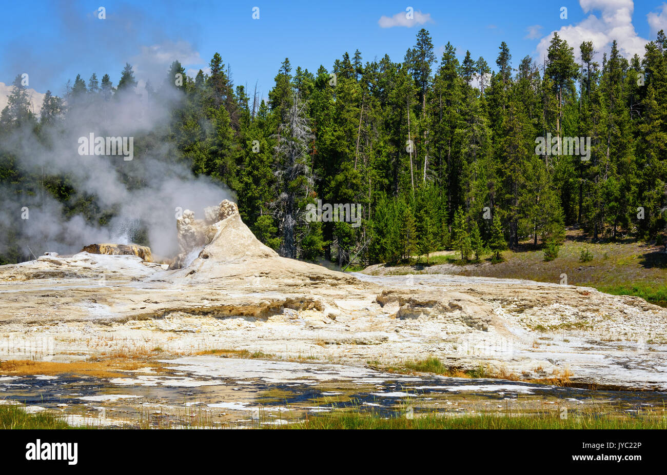 Landscape of Giant Geyser in Upper Geyser Basin, Yellowstone National ...
