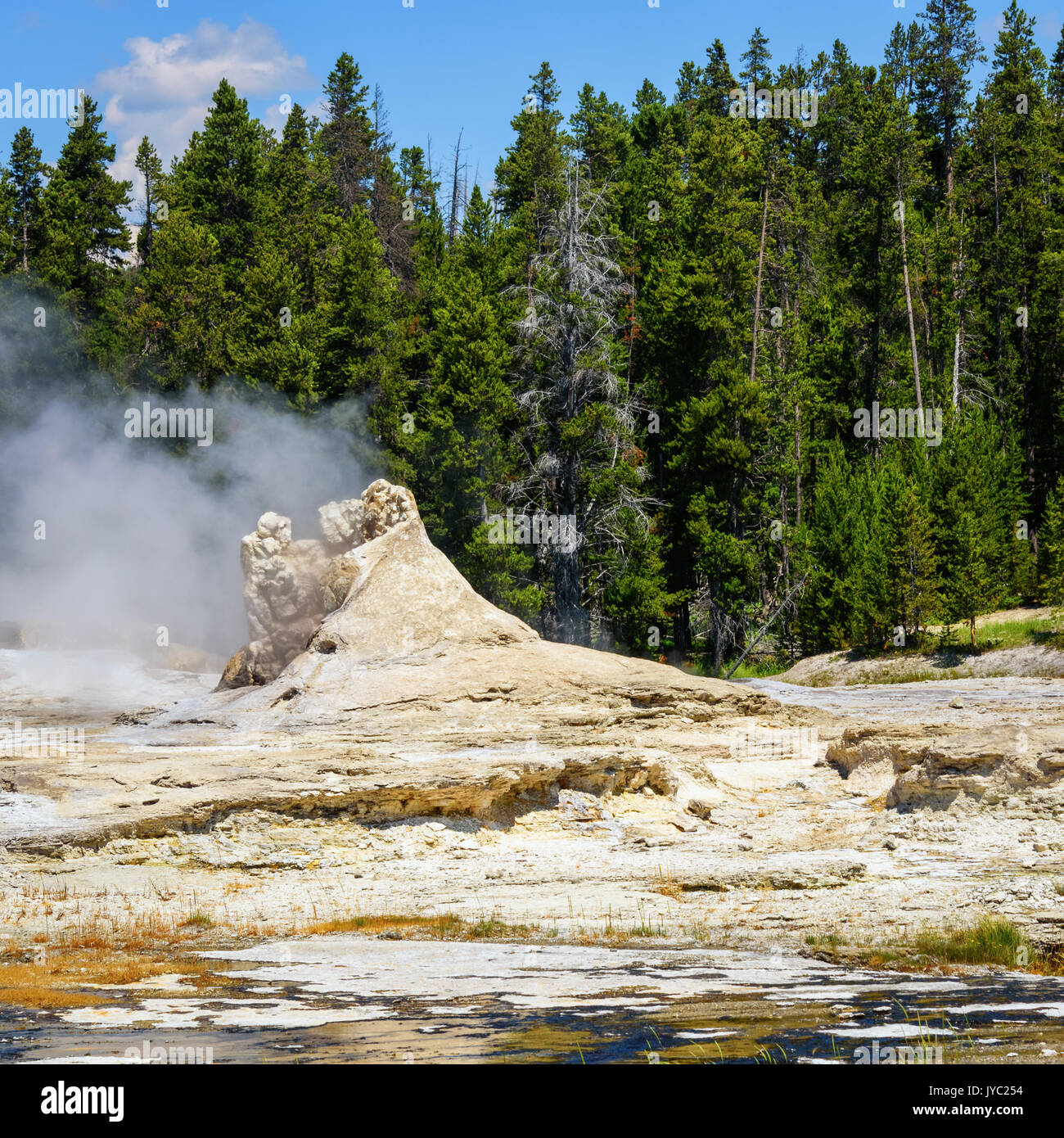 Landscape of Giant Geyser in Upper Geyser Basin, Yellowstone National ...