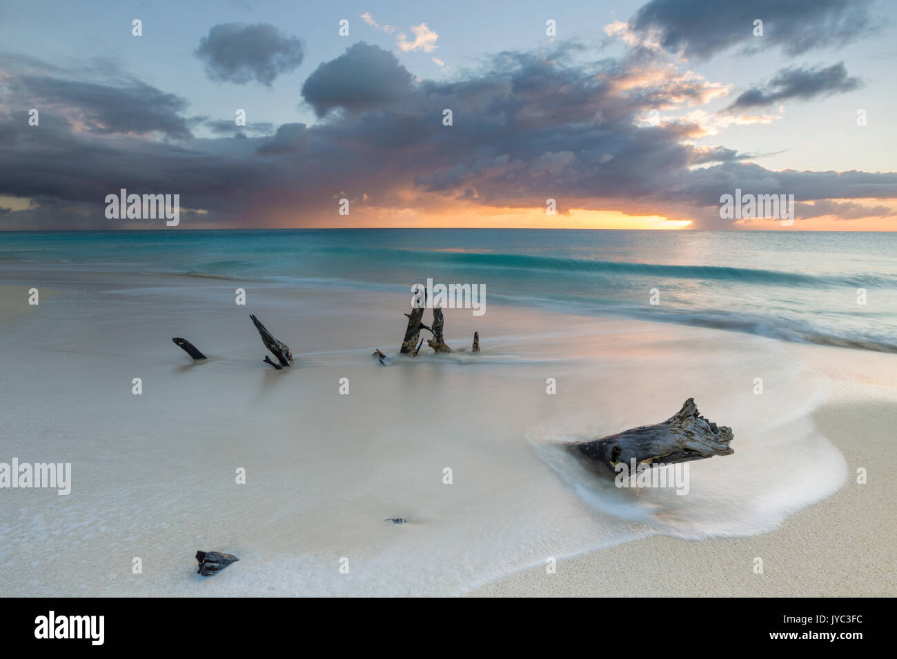 Caribbean sunset frames tree trunks on Ffryers Beach Antigua and ...