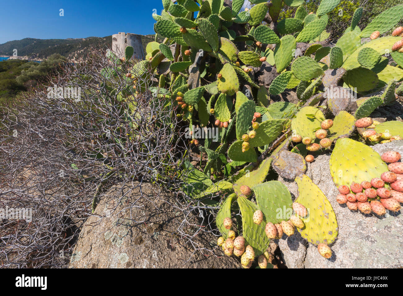 Cliffs rocks frame tower hi-res stock photography and images - Alamy