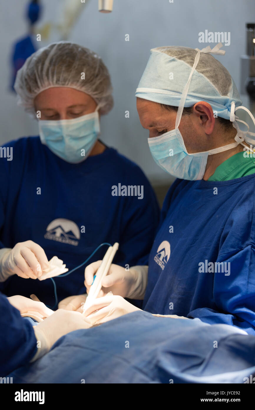 Small hospital practice hi-res stock photography and images - Alamy