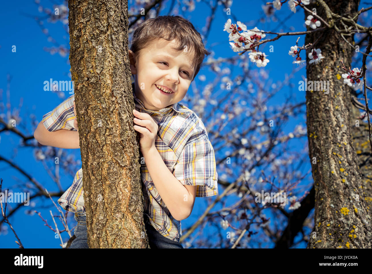 One little boy sitting on a blossom tree. Concept of happy spring Stock ...