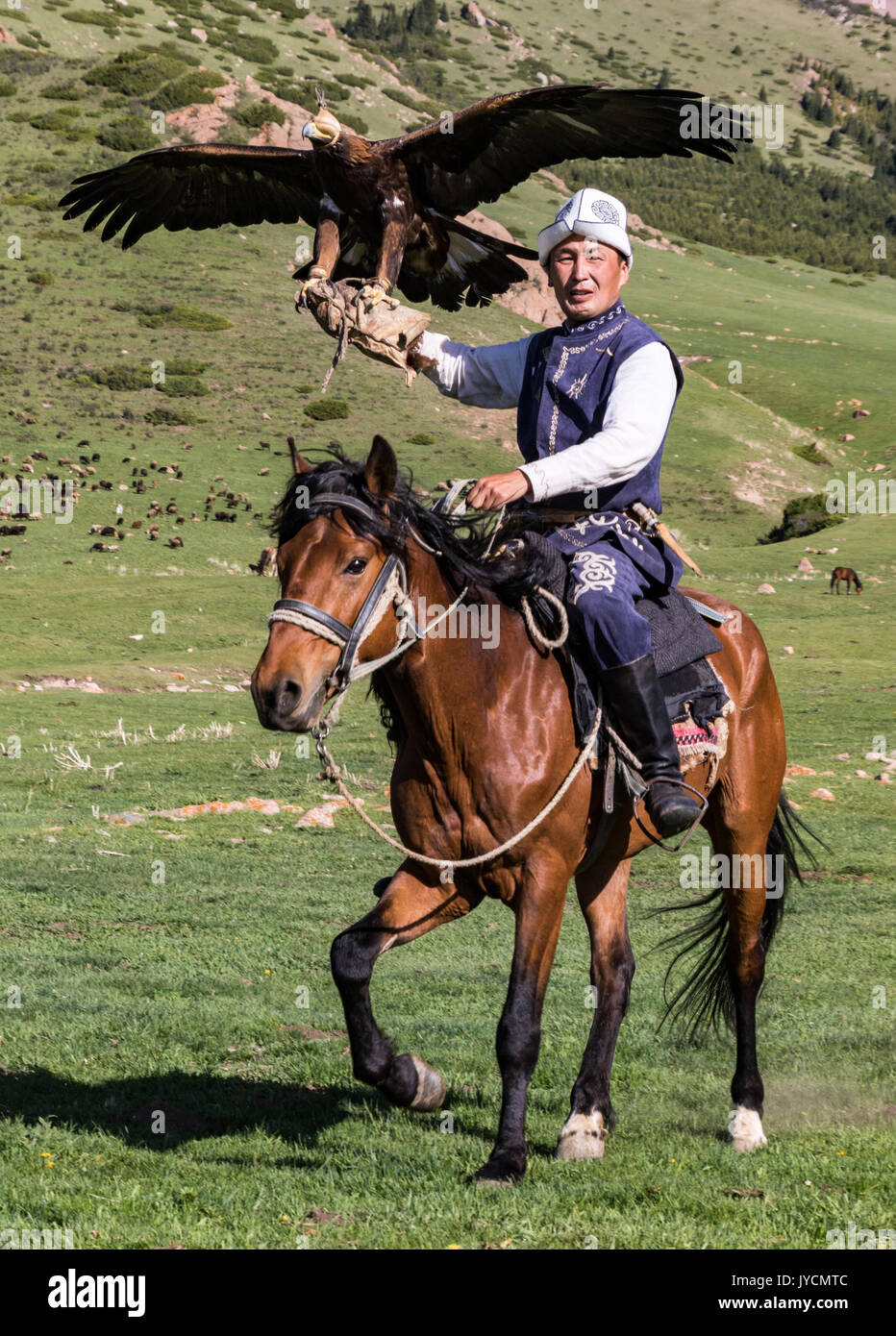 Eagle Hunter holds his eagles on horseback, ready to take flight in ...