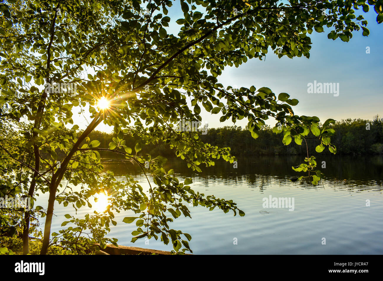 Forest river sunset hi-res stock photography and images - Alamy