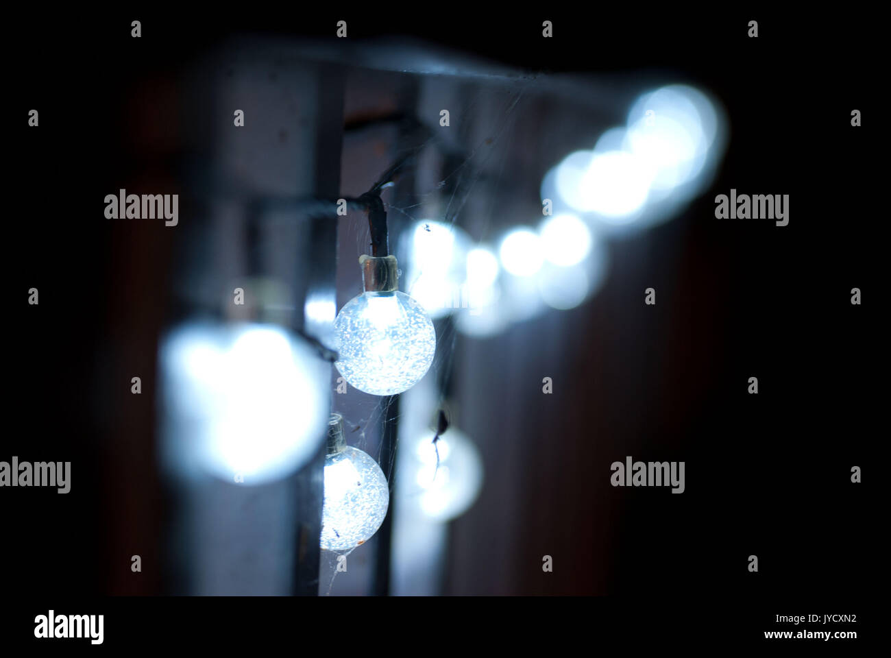 Macro shots of spiderwebs built on bluish sphere string lights Stock ...
