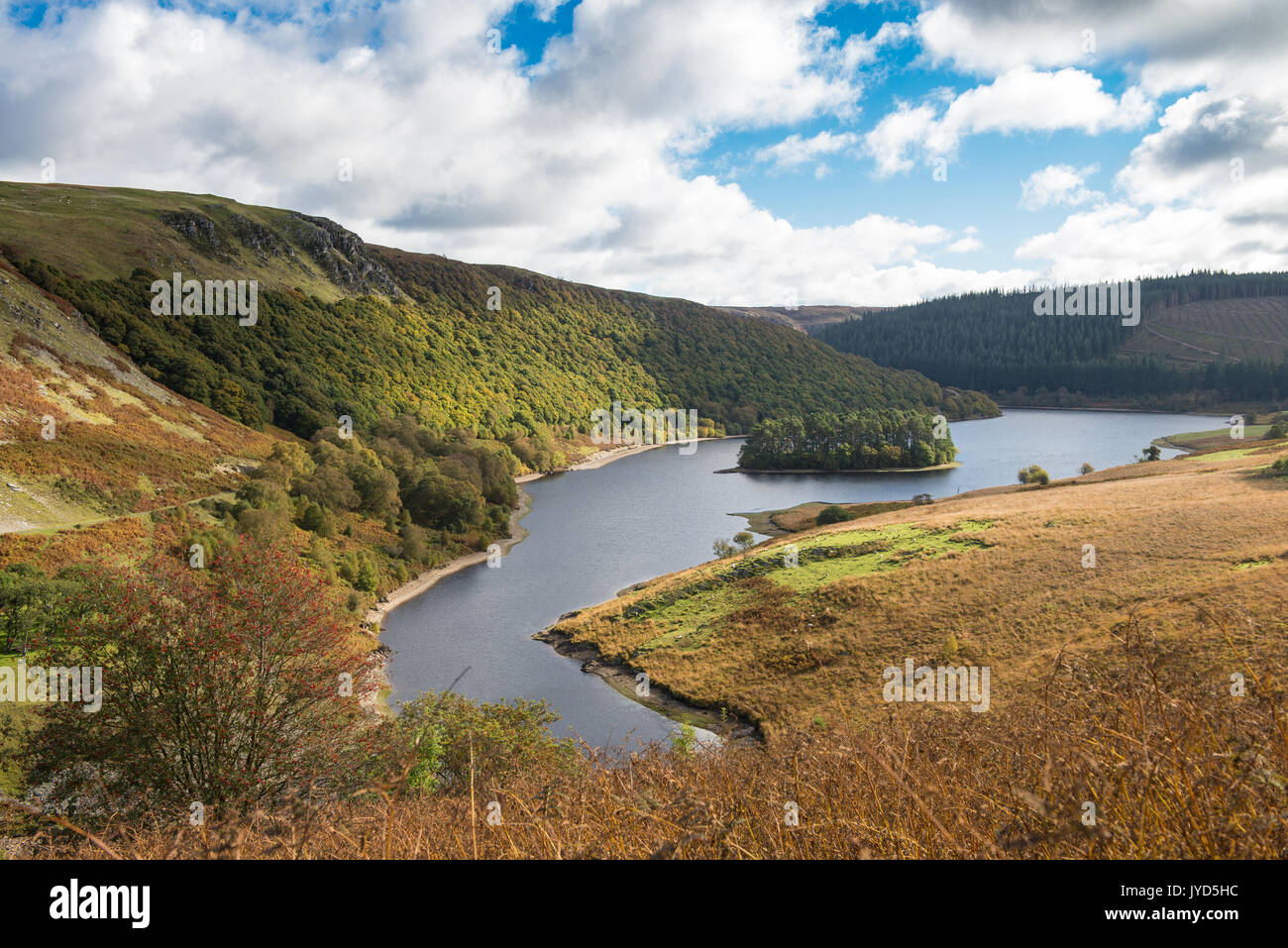 Elan Valley view, Powys, Wales, UK Stock Photo - Alamy
