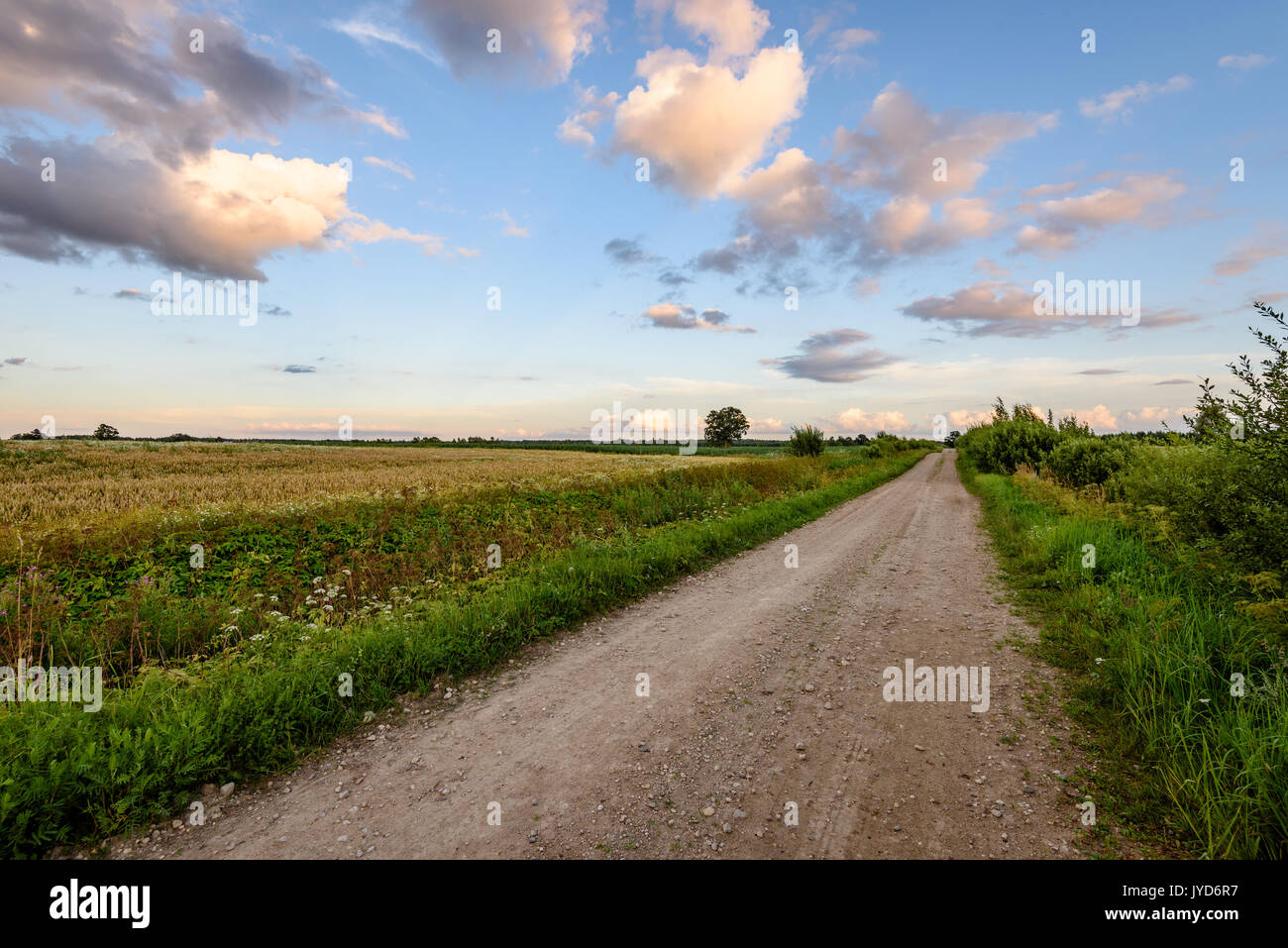 country road with sun rays and shadows in the morning Stock Photo - Alamy