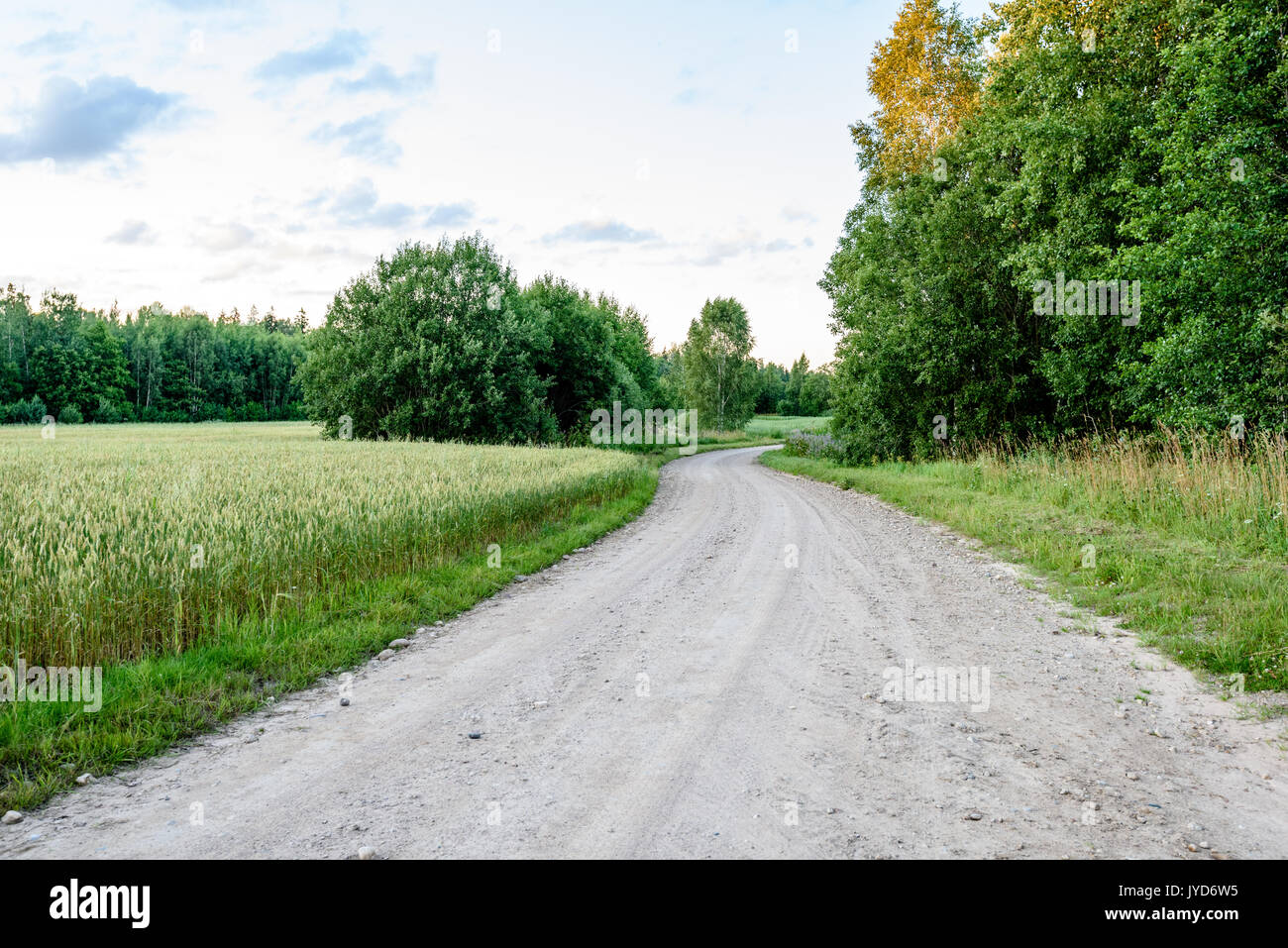 country road with sun rays and shadows in the morning Stock Photo - Alamy