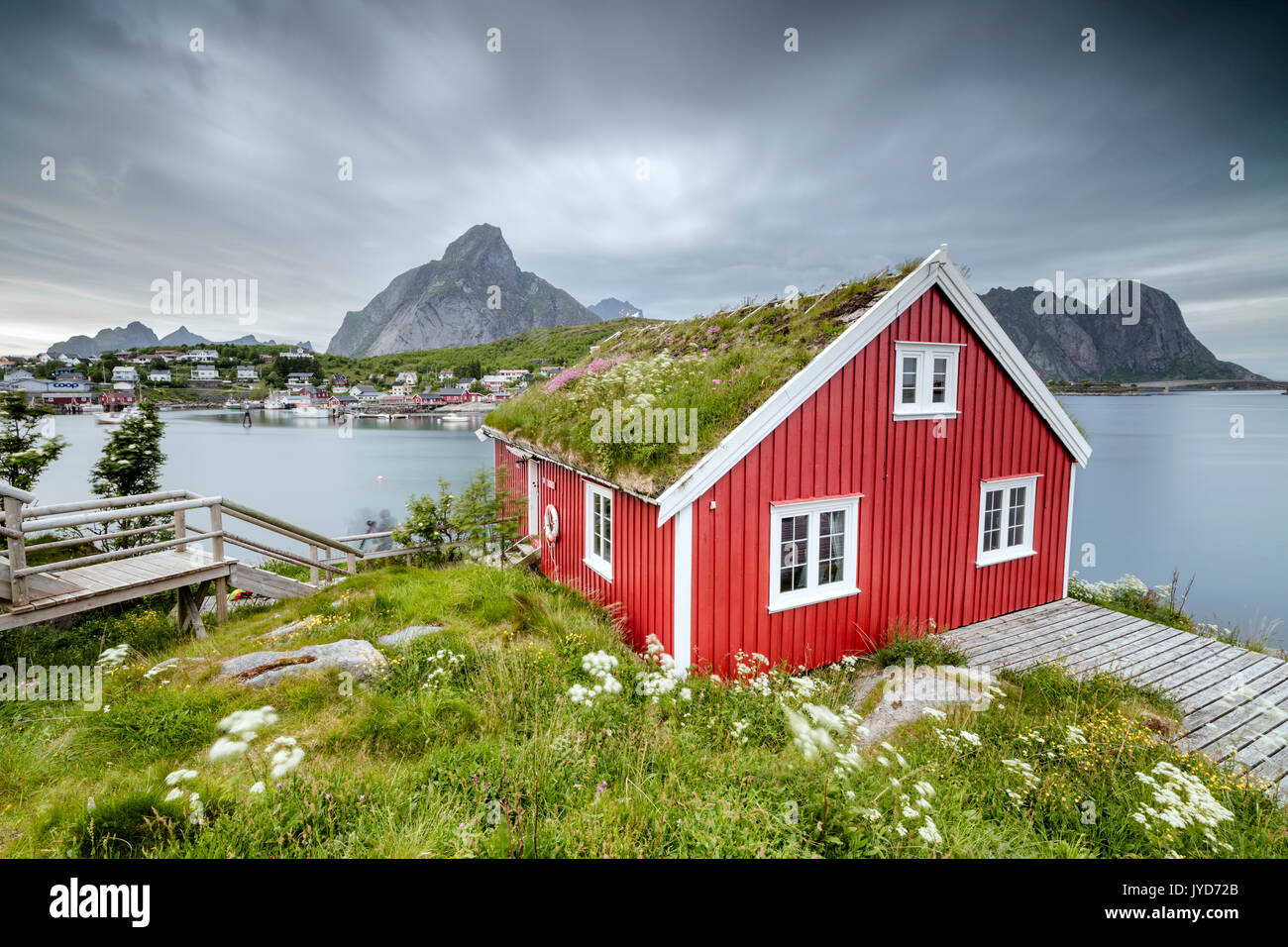 Green grass and flowers frame the typical Rorbu surrounded by sea Reine ...