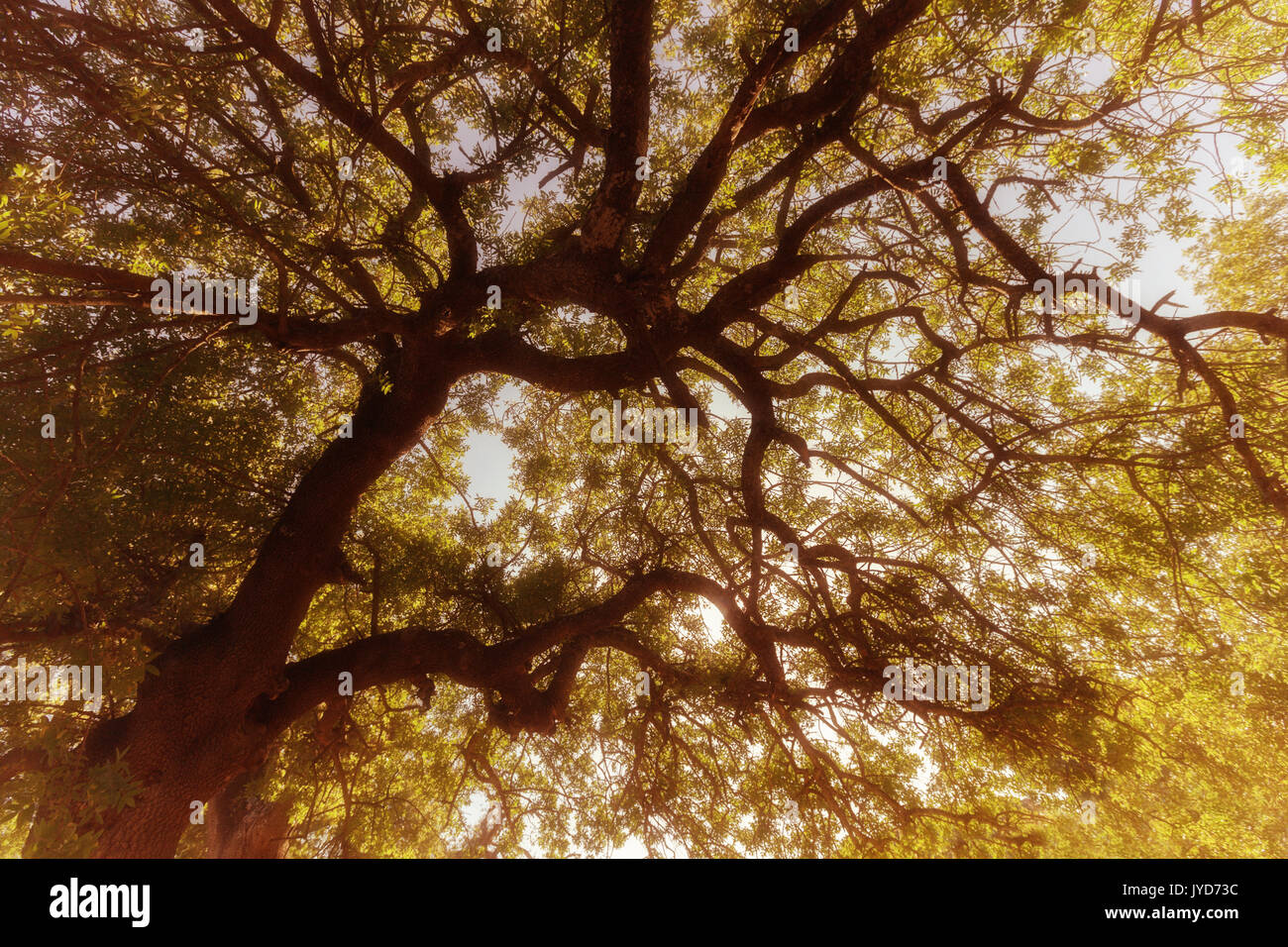 Vintage landscapes hi-res stock photography and images - Alamy