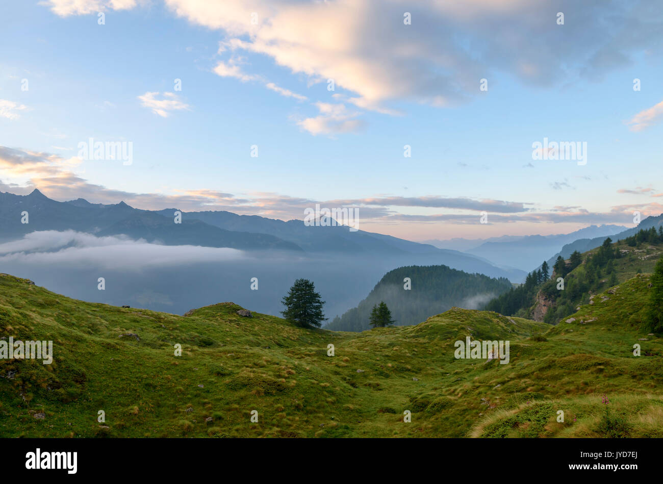 Morning mist in alpine valley hi-res stock photography and images - Alamy