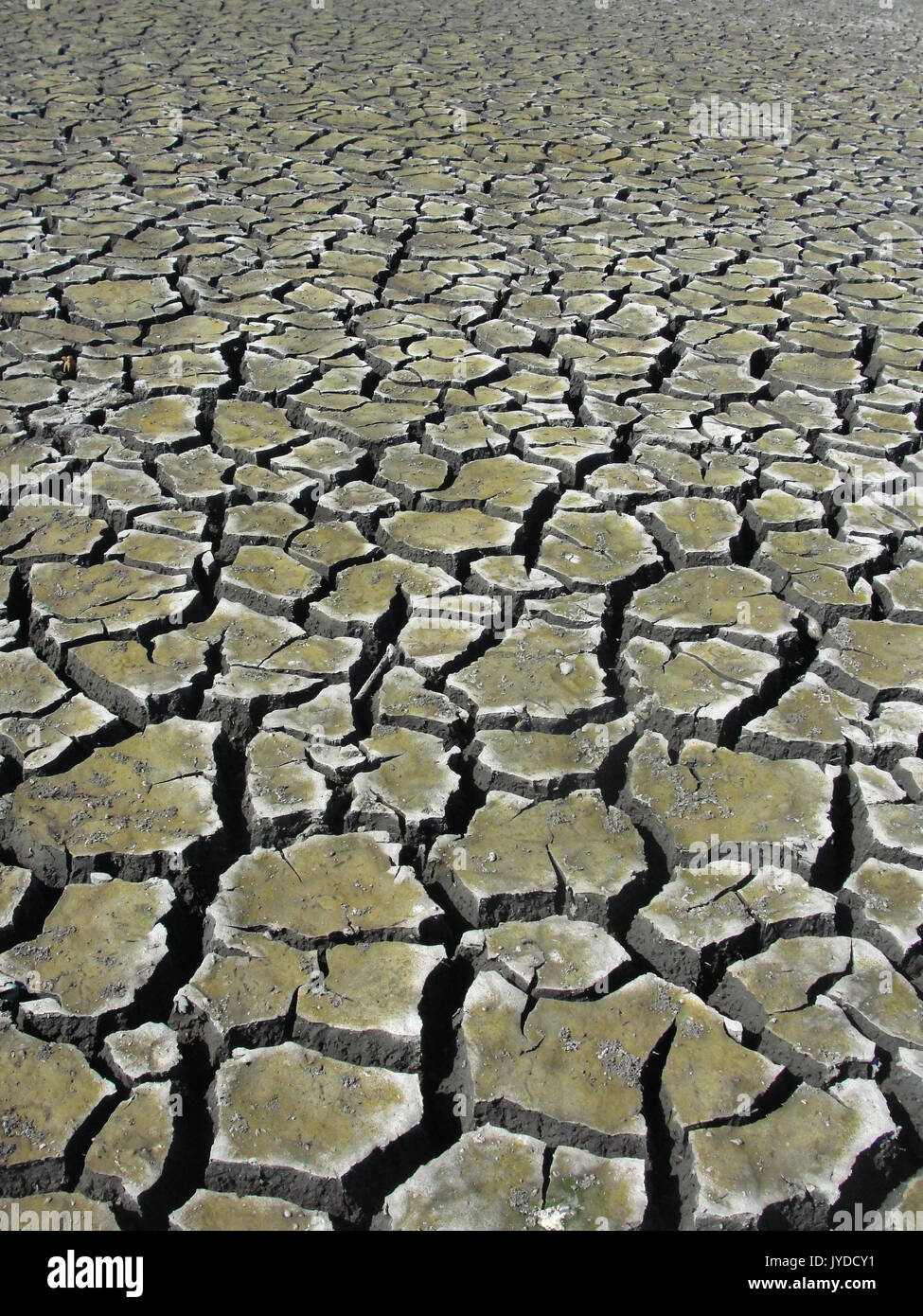 Perspectiva macro hi-res stock photography and images - Alamy