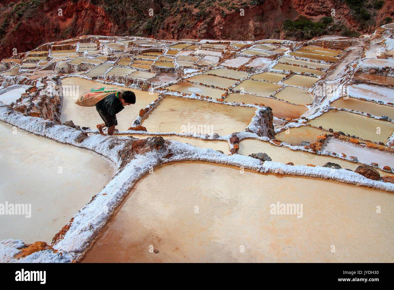 Maras' coloured salt flats in the Inca's sacred Valley Peru South ...
